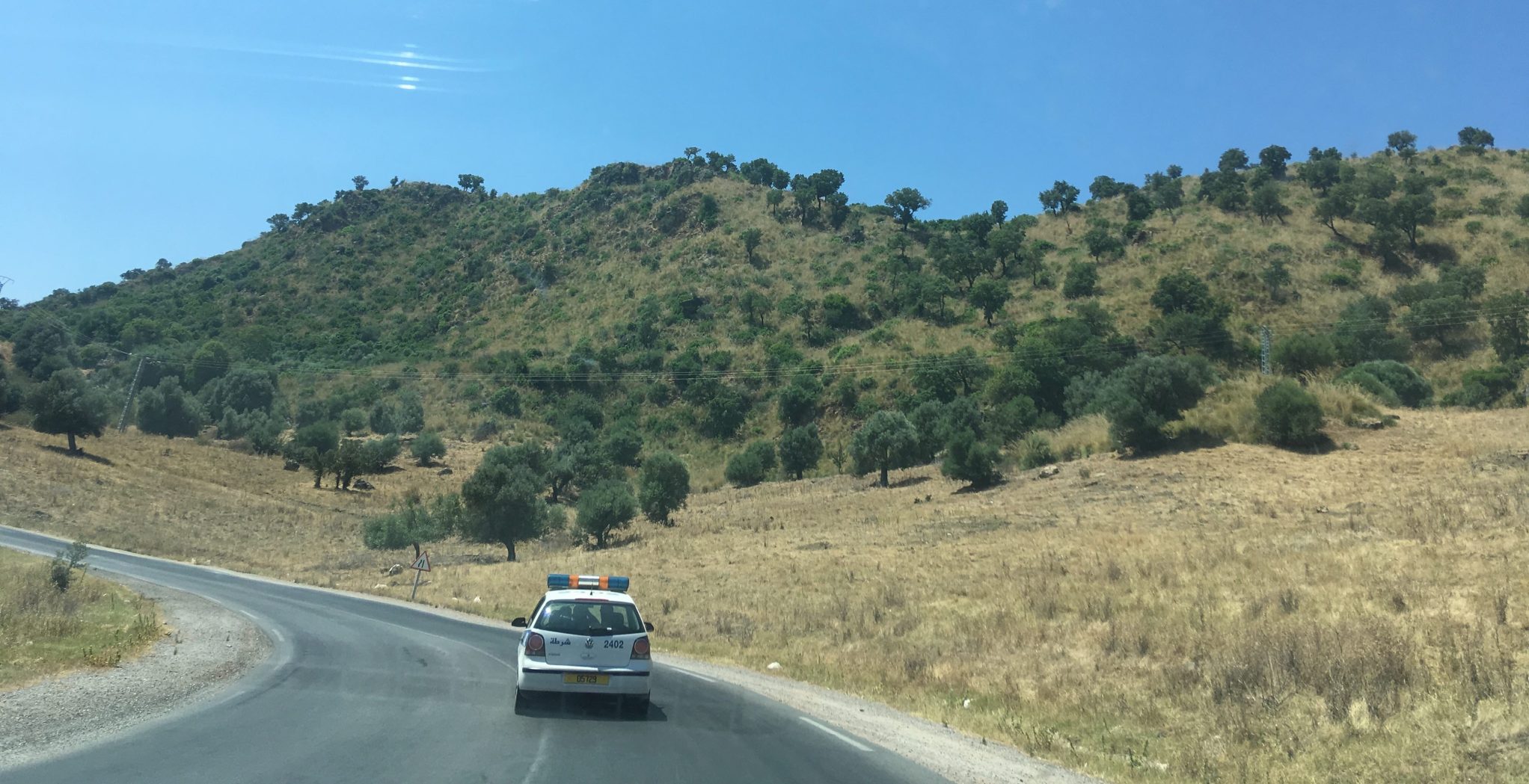 An Olive Tree at Thagaste and Legends of Augustine – Terrae Transmarinae